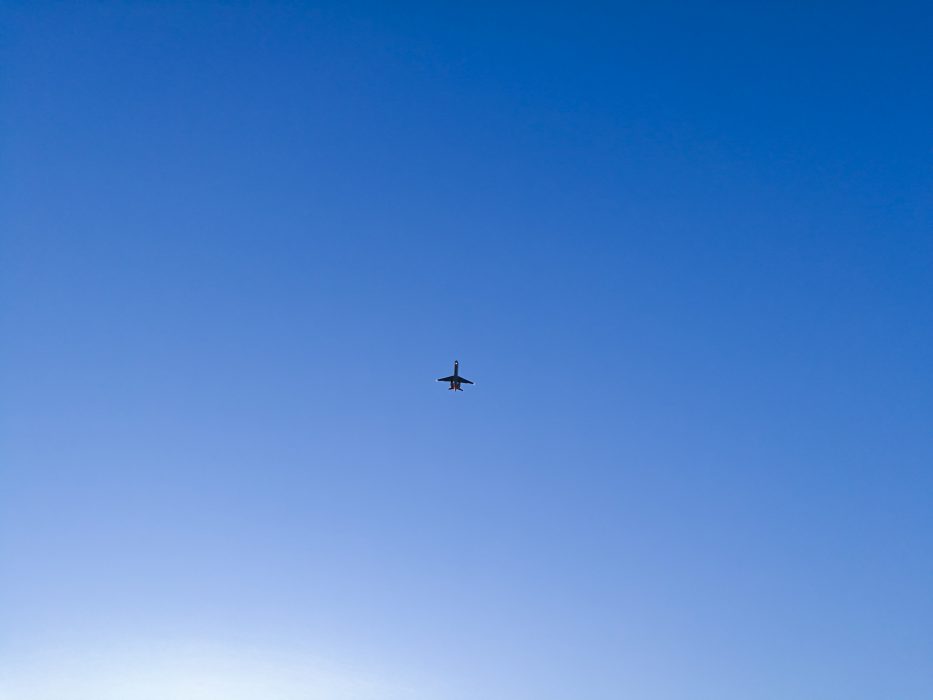 Ryanair pilots' fifth day of strike action goes ahead - Forsa